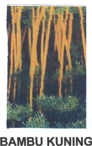 List of Trademark Applications in Publication #10A/II/A/2018 (Page 1 of ...