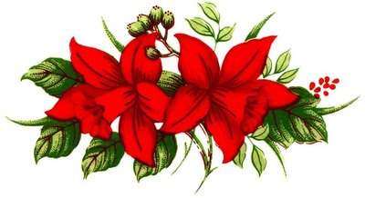 List of Trademark Applications in Publication #73/P-M/XII/A/2021 (Page ...