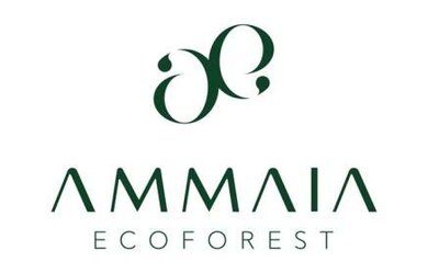 List of Trademark Applications in Publication #81/P-M/XI/A/2023 (Page ...